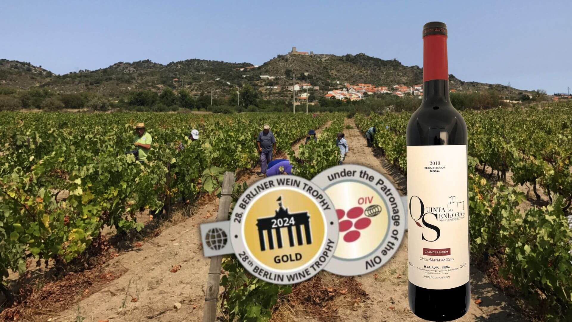 O nosso vinho é ouro no concurso internacional Berliner Wein Trophy ...